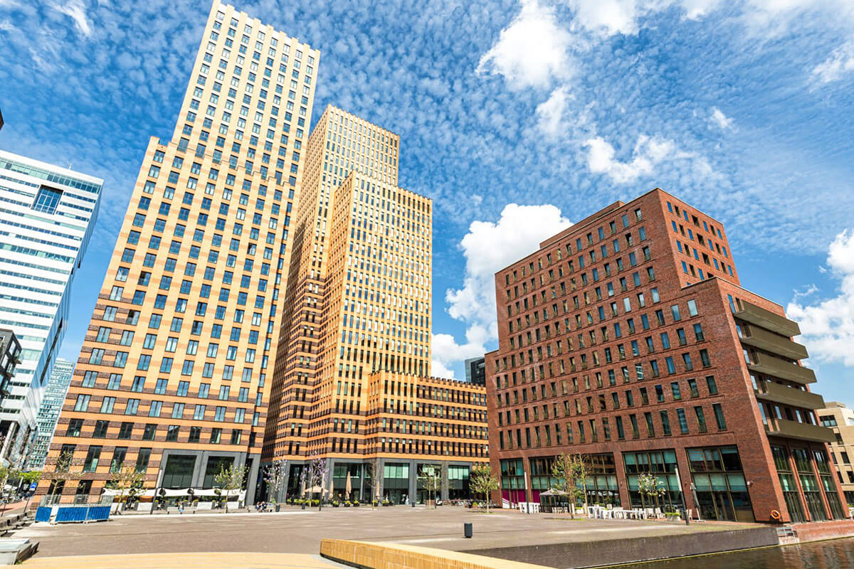 Portfolio | Marketing Consultancy | Everything Sorted Group Ltd